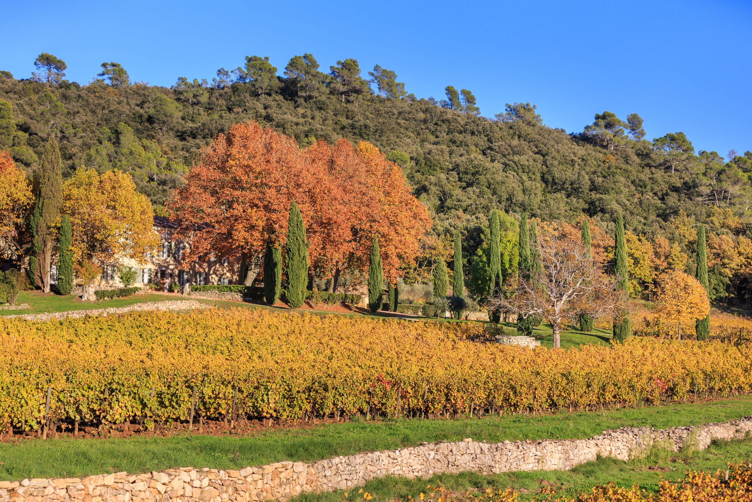 Le vin de Provence - Château la Calisse